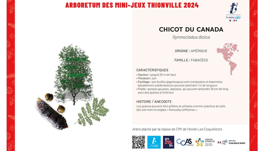 Stade de Guentrange - arboretum mini-jeux Thionville 2024
